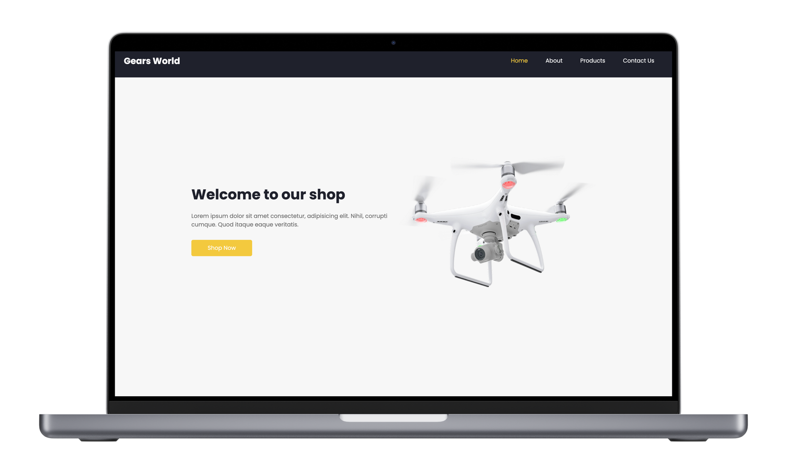 Nikhil Raghuwanshi | Frontend Developer